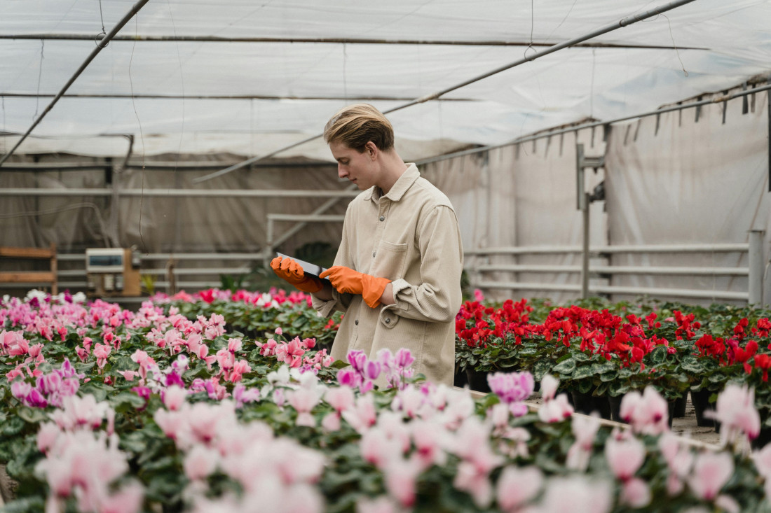 Horticultural manager | Career Profiles | Buckinghamshire Skills Hub