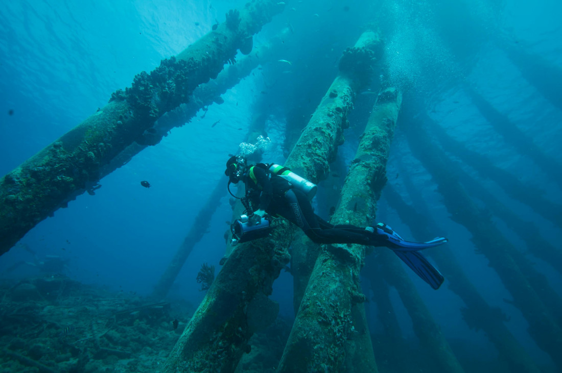 Oceanographer | Career Profiles | Buckinghamshire Skills Hub