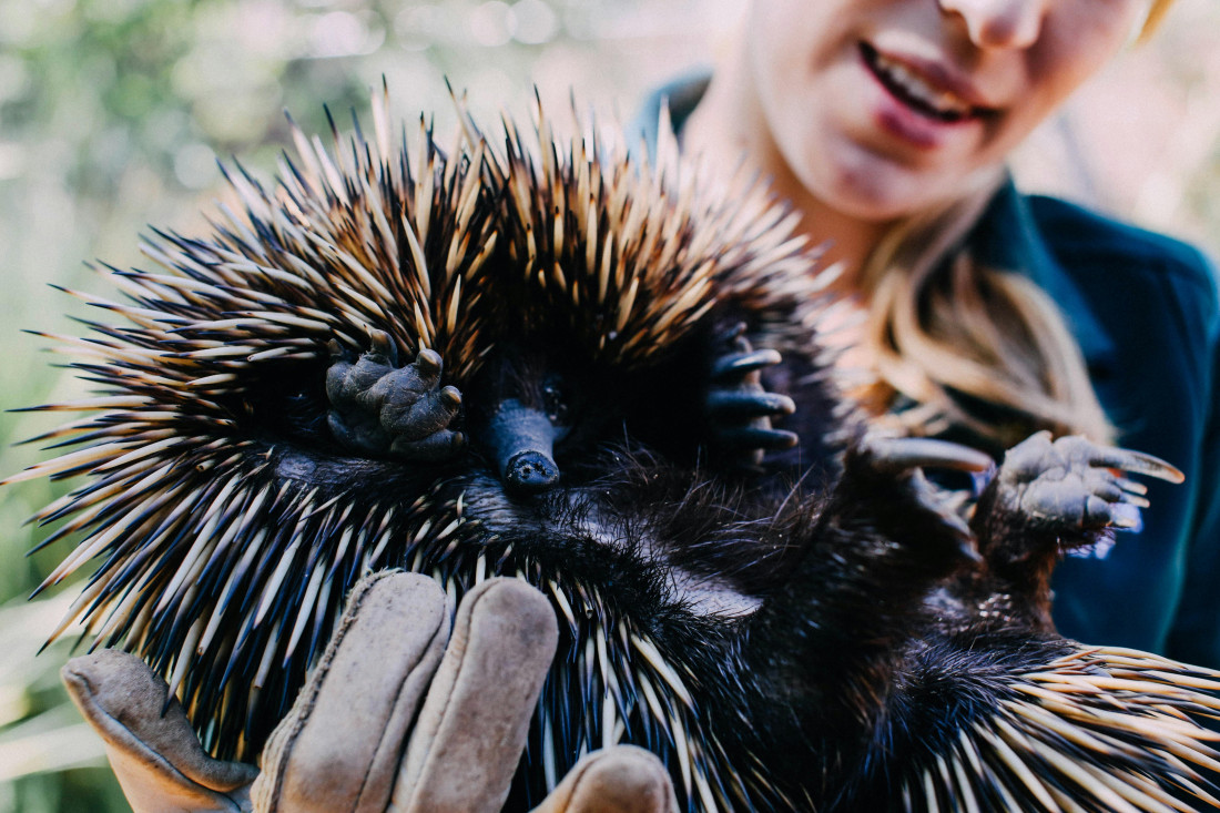 Zookeeper | Career Profiles | Buckinghamshire Skills Hub